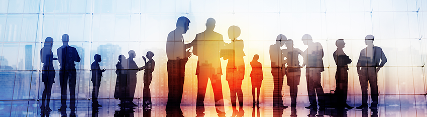 Management Team Banner